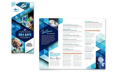 Fishing Charter & Guide Trifold Brochure Template Design